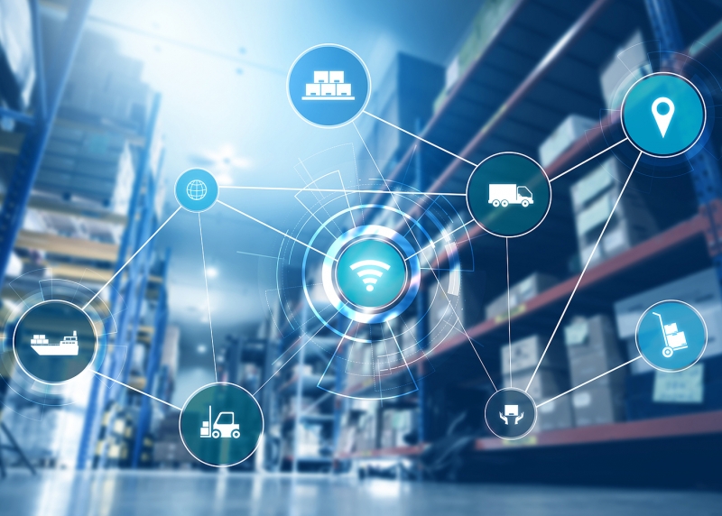 Tara Group - Our Services